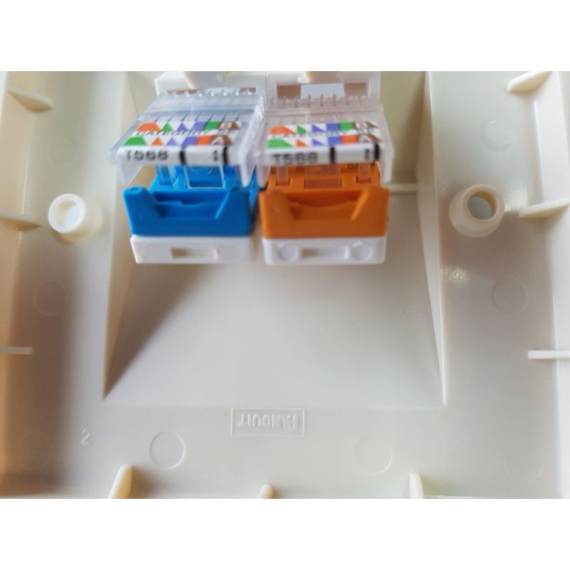 Keystone Jack Panduit at Donna Champion blog